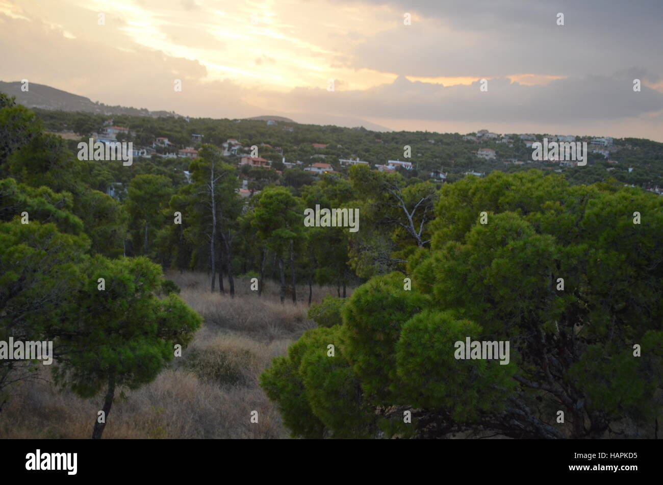 Nature photography out in the open space Stock Photo - Alamy