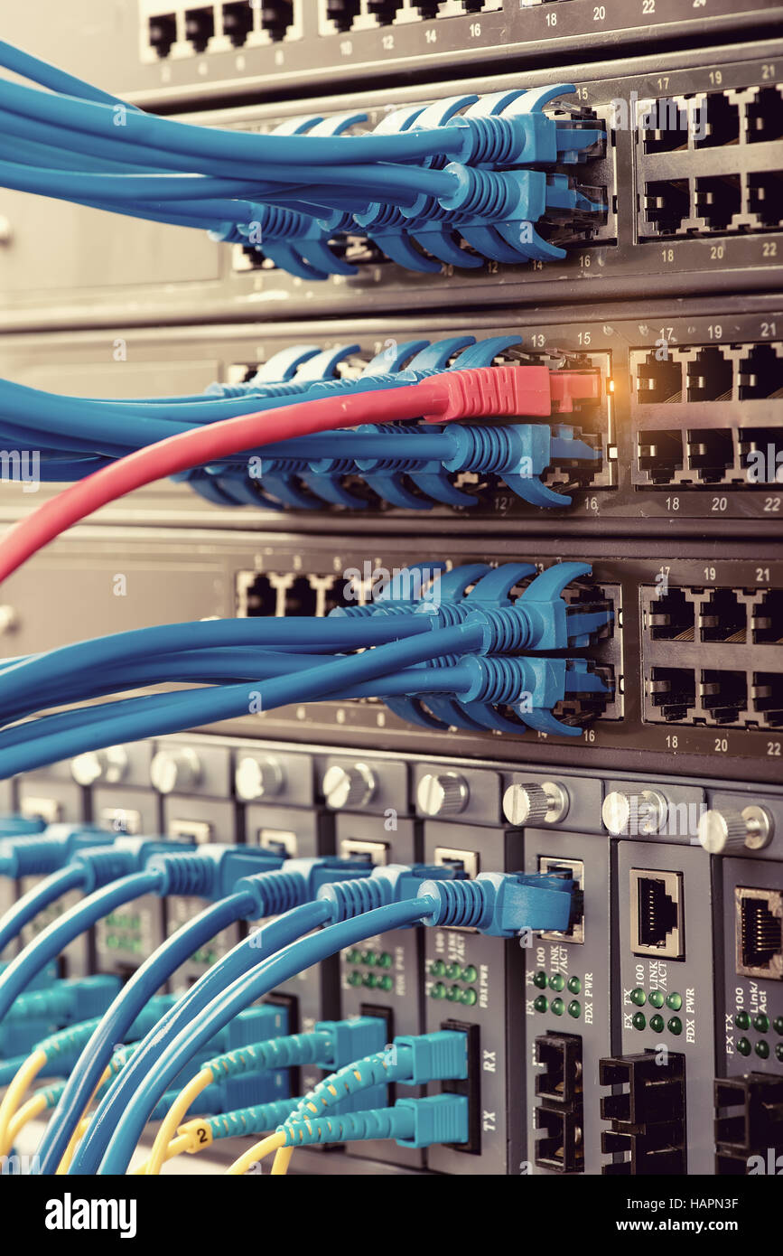 Fiber Optic cables connected to an optic ports and Network cables ...