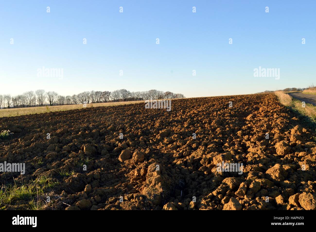 Earth turned over with large clods on a field with a sunset Stock Photo ...