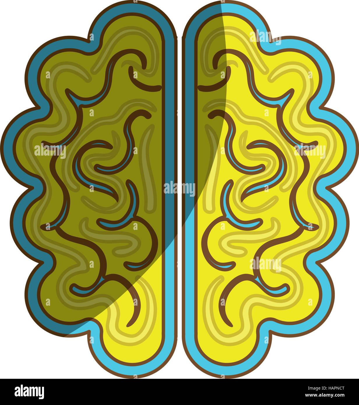 brain organ human isolated icon vector illustration design Stock Vector ...