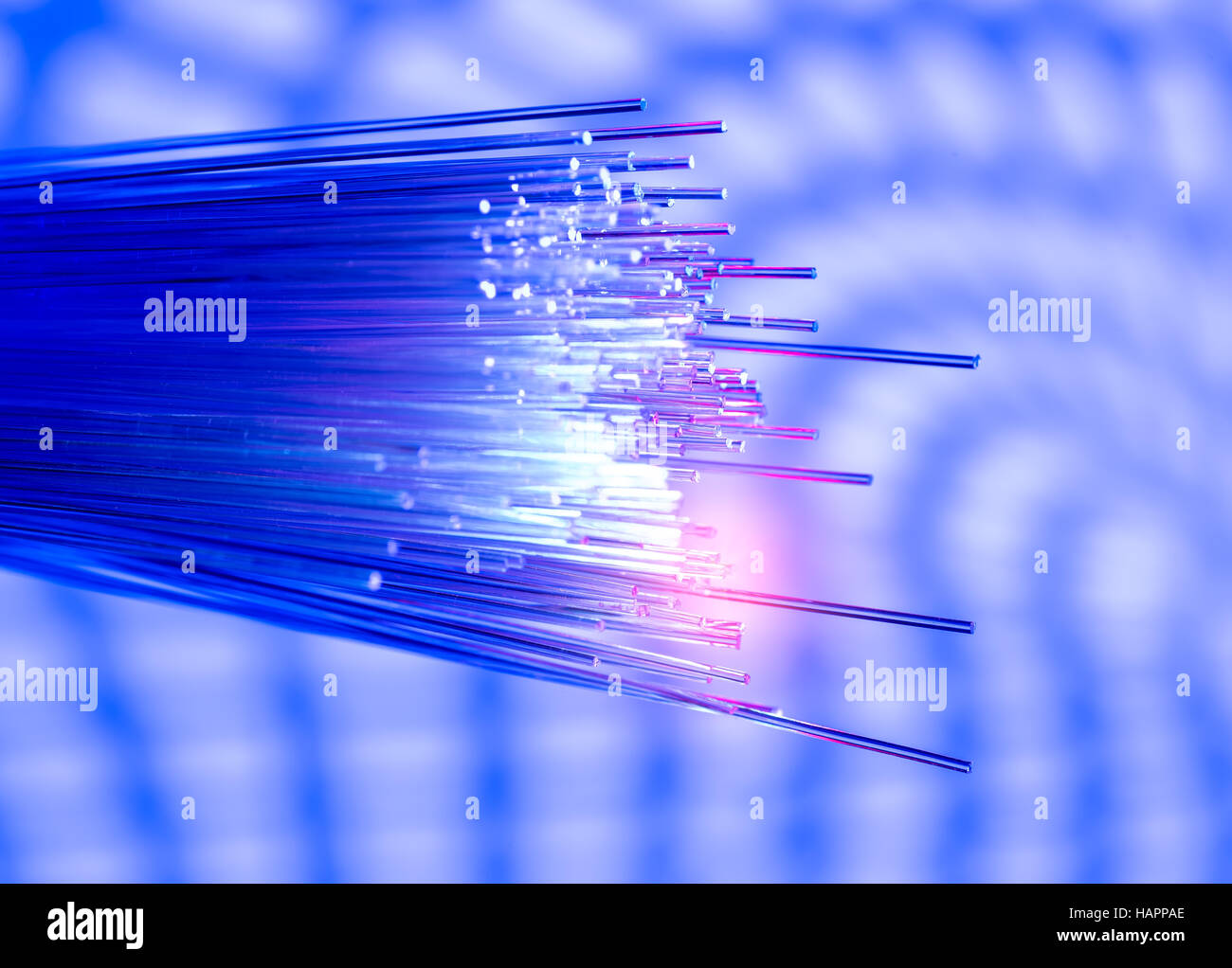 fiber optical network cable Stock Photo - Alamy