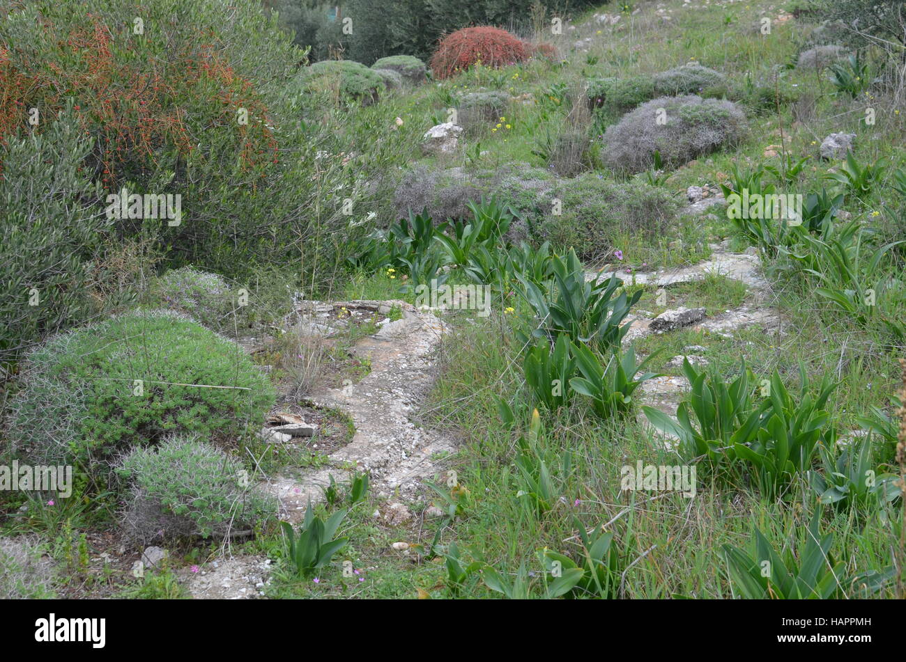 Nature photography out in the open space Stock Photo - Alamy