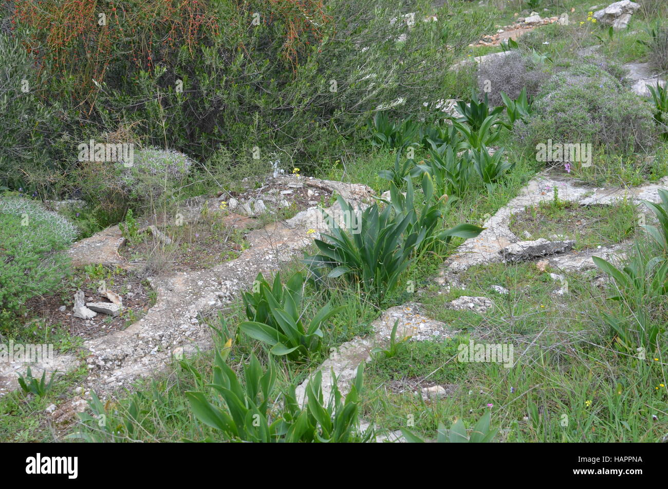 Nature photography out in the open space Stock Photo - Alamy
