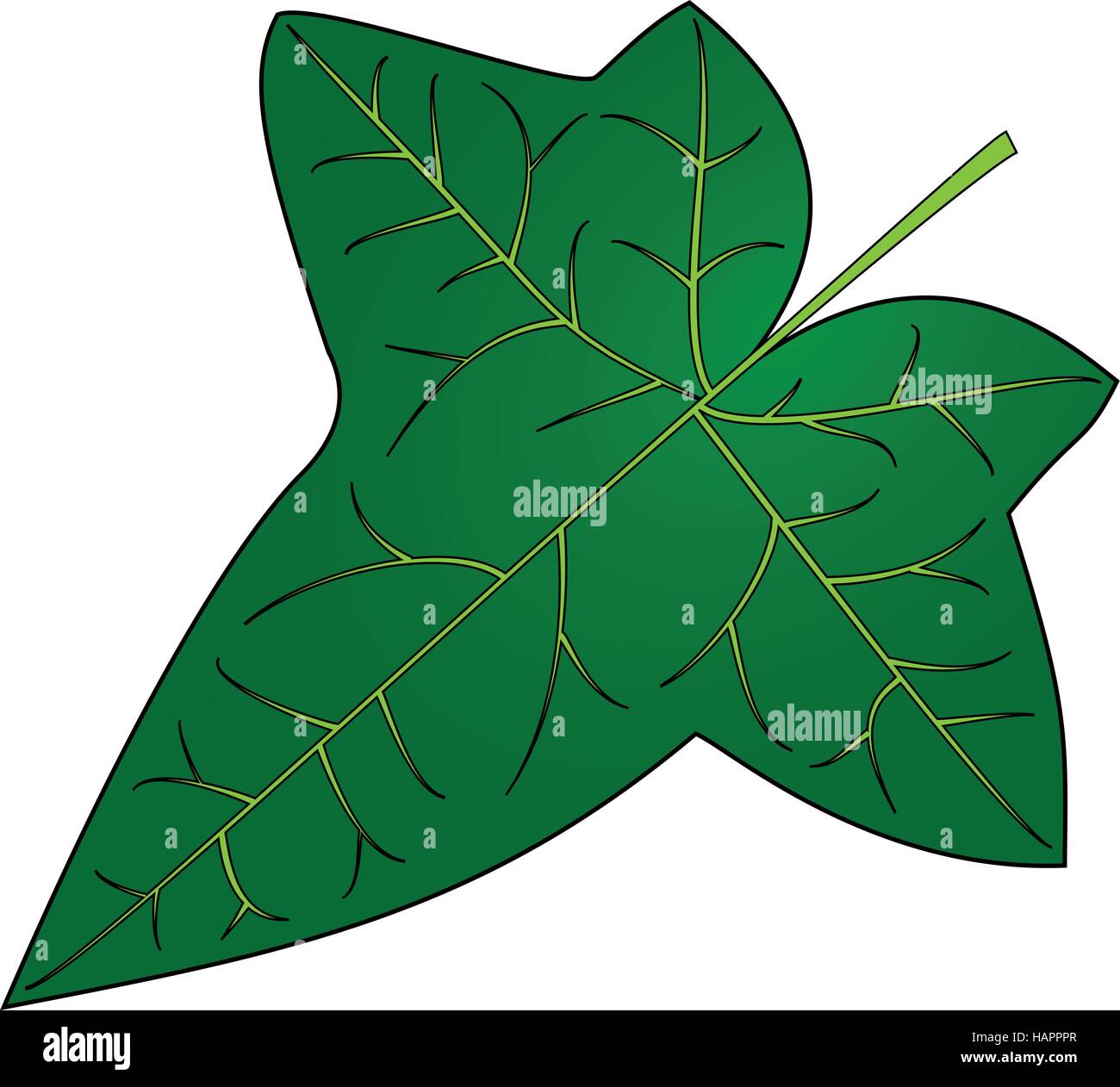 Ivy leaf Stock Vector Images - Alamy
