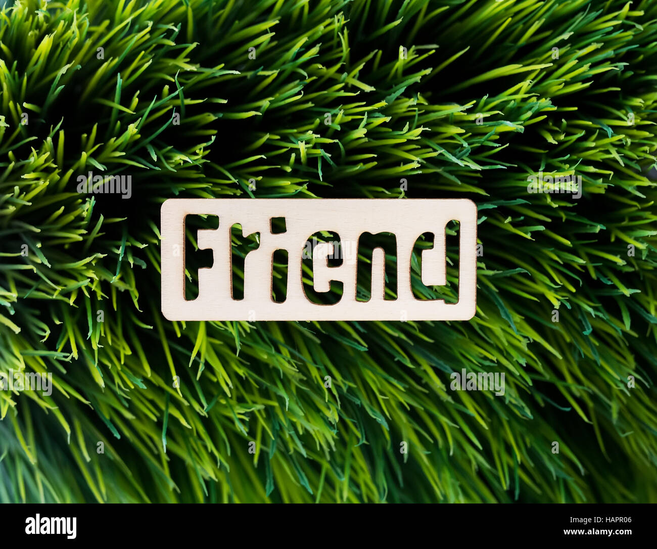 friend.Wood letters on grass background Stock Photo - Alamy