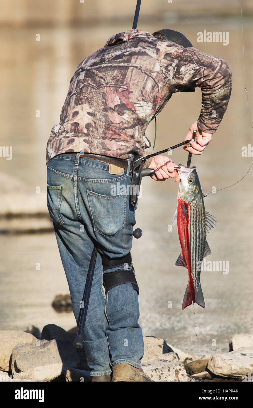 Fisherman Unhooking his Fish Stock Photo - Alamy
