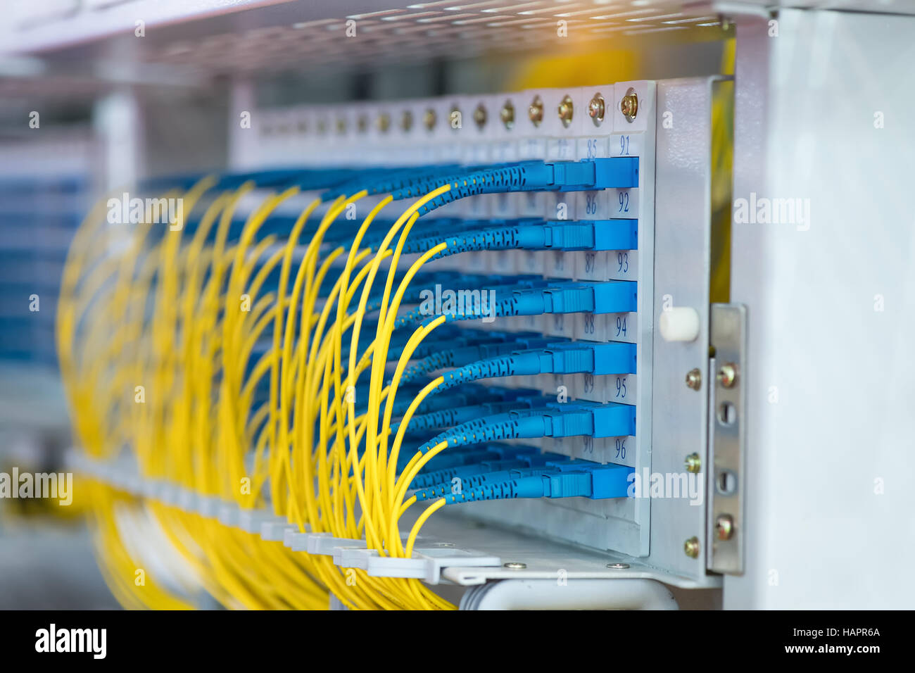Network switch and ethernet cables,Data Center Concept Stock Photo - Alamy