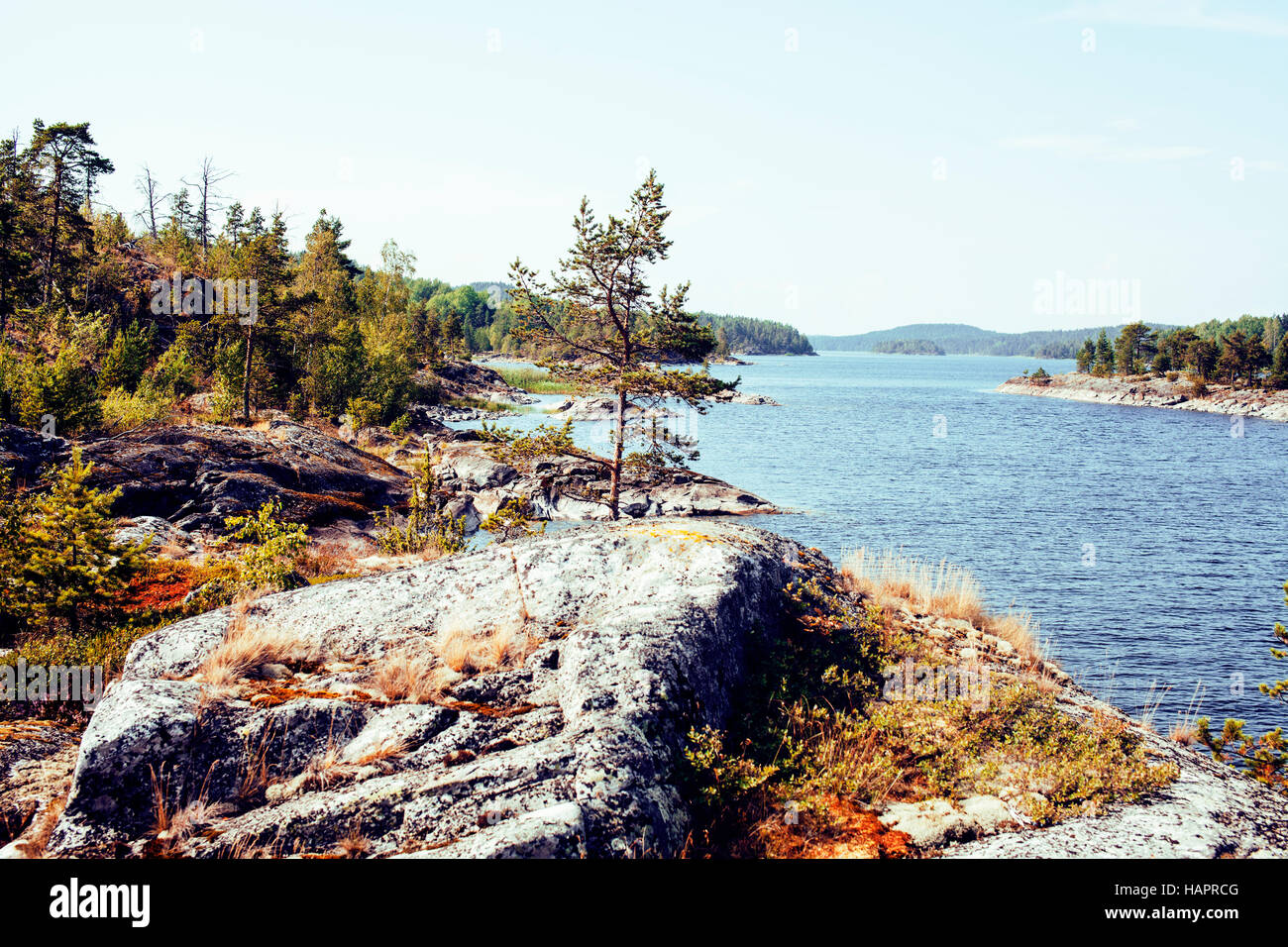 wild north nature landscape. lot of rocks on lake shore Stock Photo - Alamy