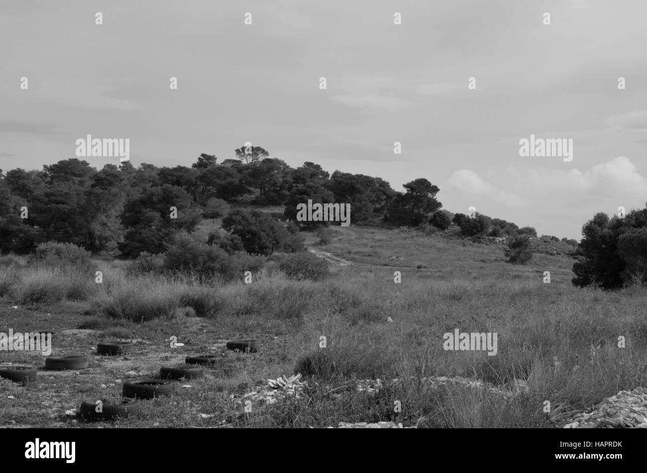 Nature photography out in the open space Stock Photo - Alamy