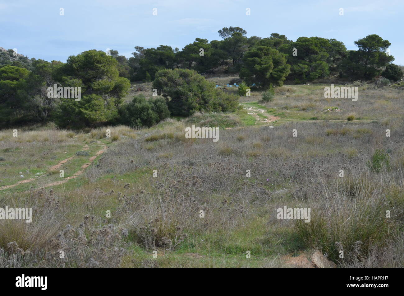 Nature photography out in the open space Stock Photo - Alamy