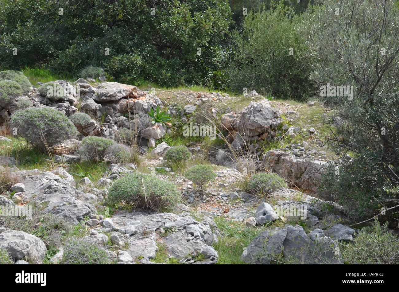 Image of abstract rock shape Stock Photo - Alamy