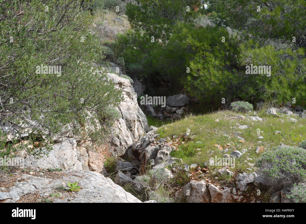 Image of abstract rock shape Stock Photo - Alamy