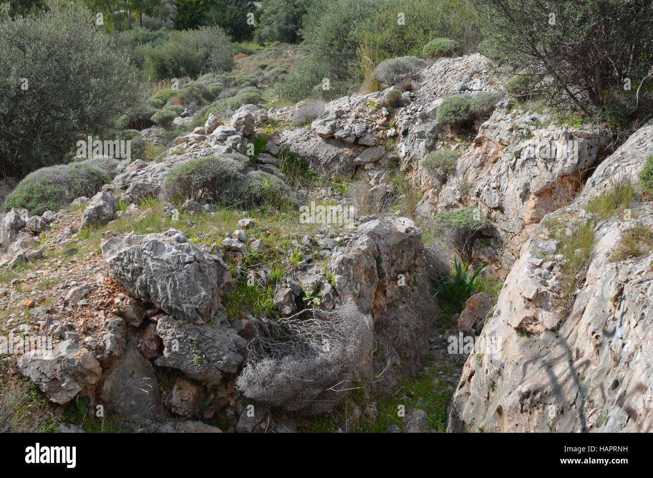 Image of abstract rock shape Stock Photo - Alamy