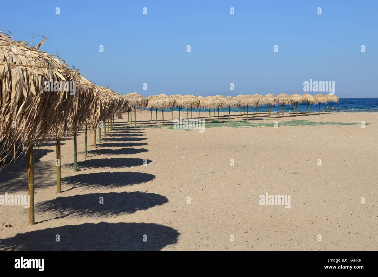 Nature photography out in the open space Stock Photo - Alamy