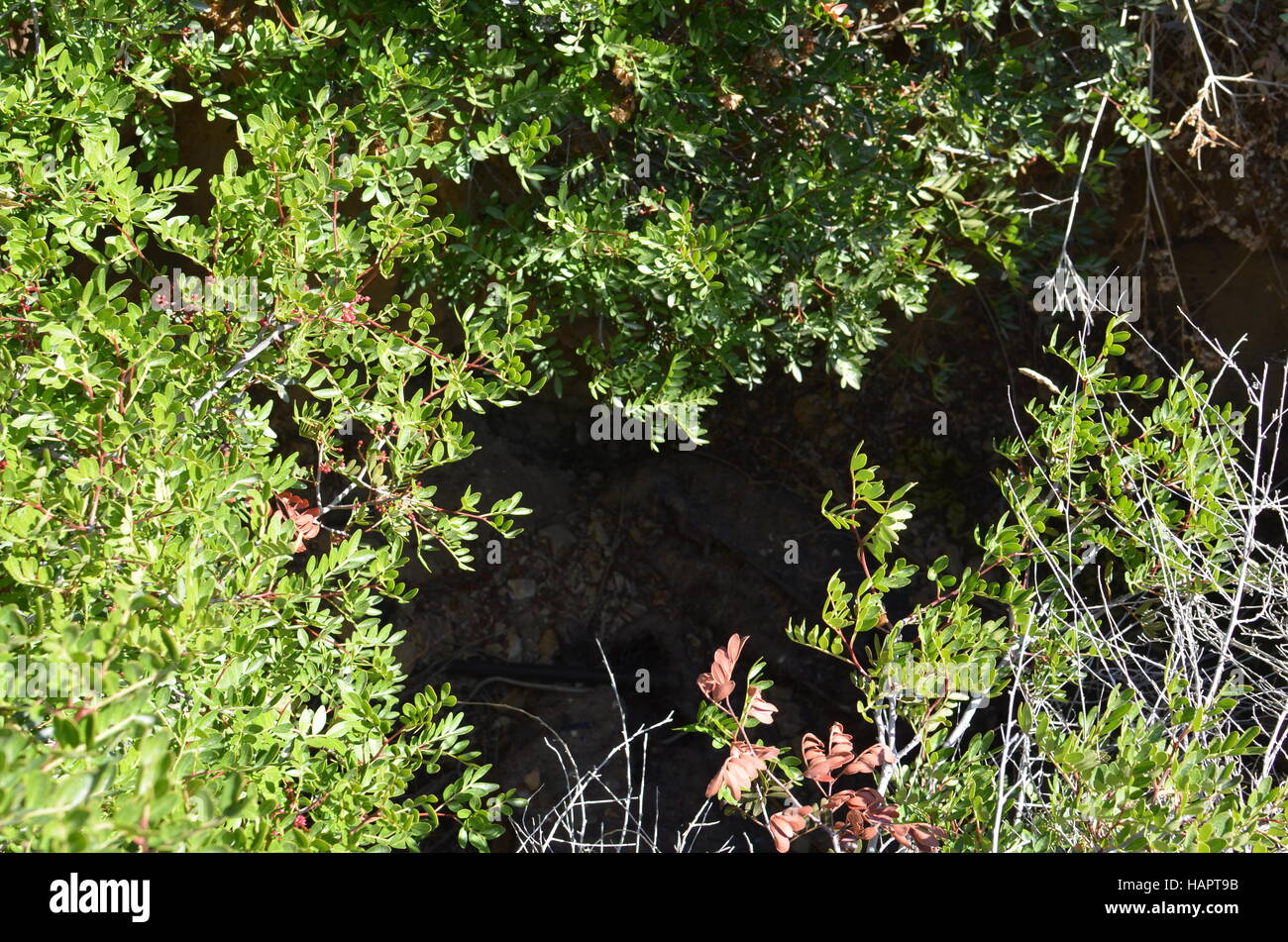 Nature photography out in the open space Stock Photo - Alamy