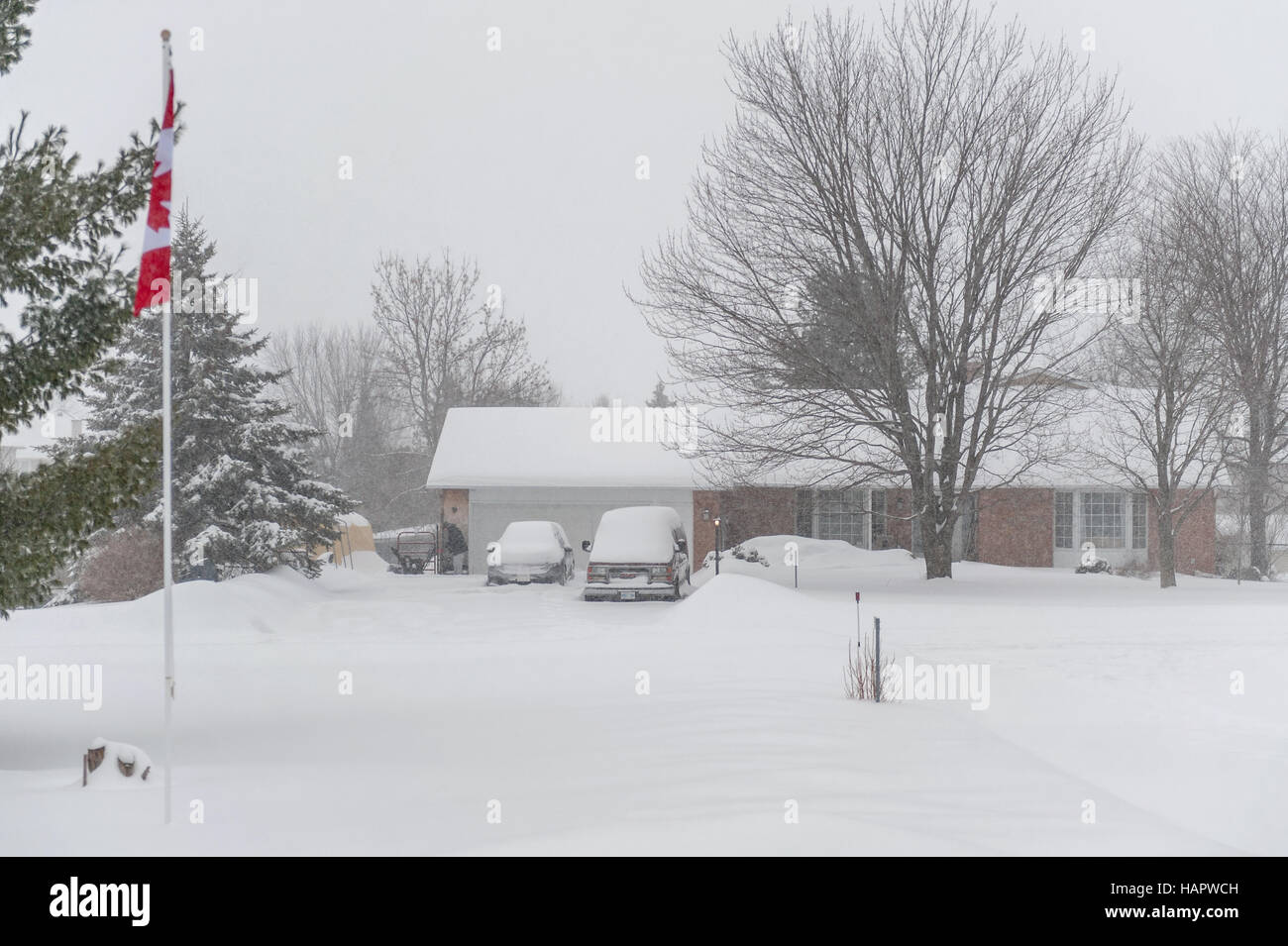 Blizzard canada snow falling hi-res stock photography and images - Alamy