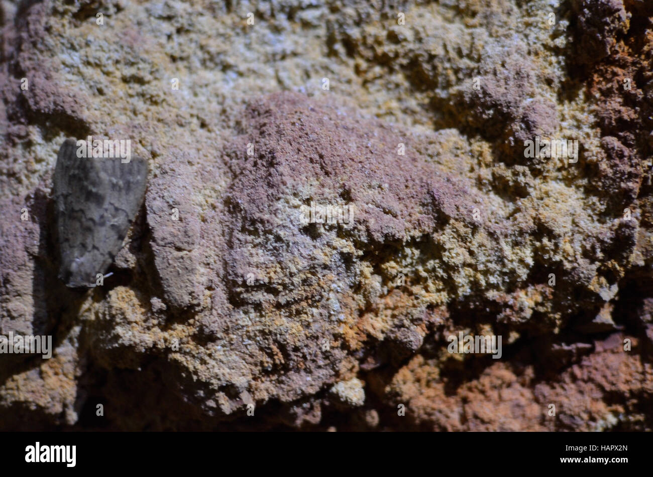 Image of abstract rock shape Stock Photo - Alamy