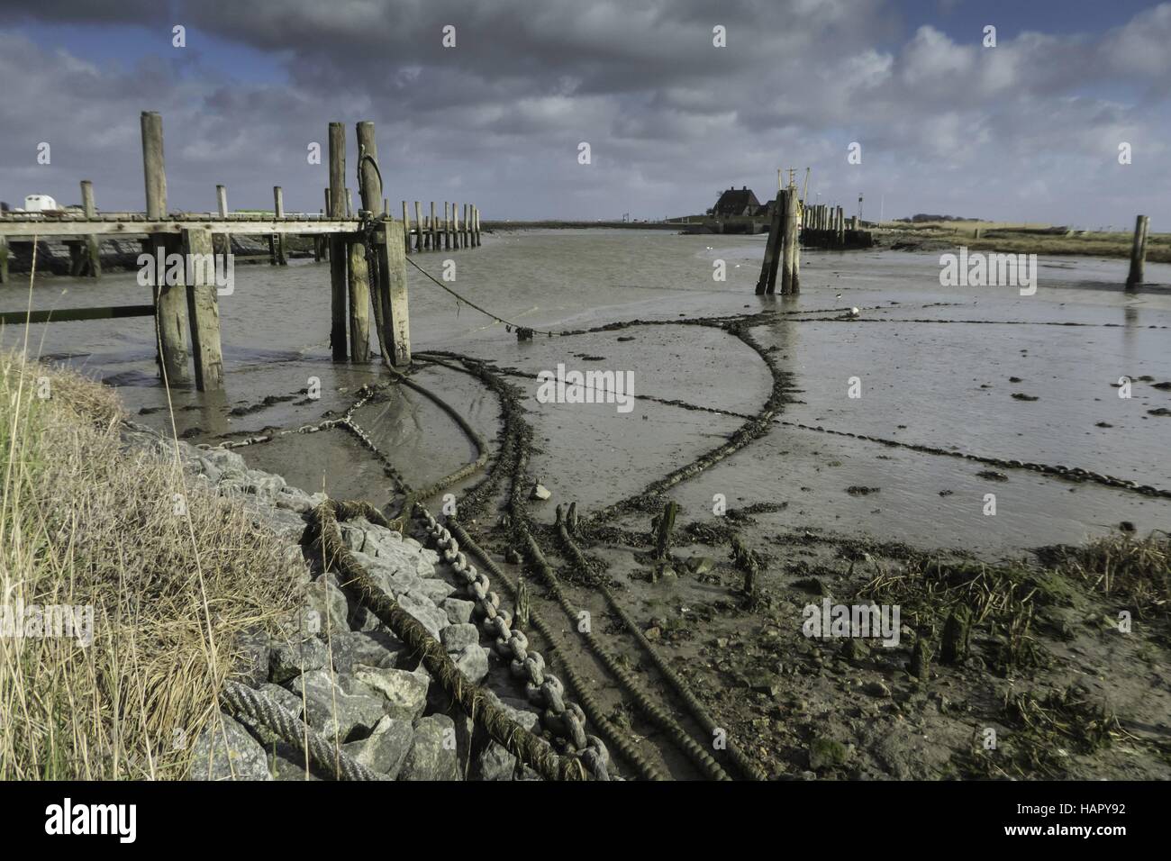 low tide in harbour of island Hooge, april 2016 | usage worldwide Stock ...