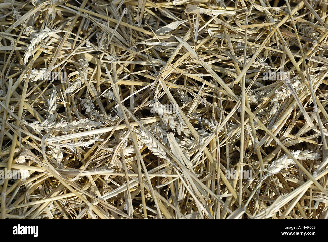 Part four hi-res stock photography and images - Alamy