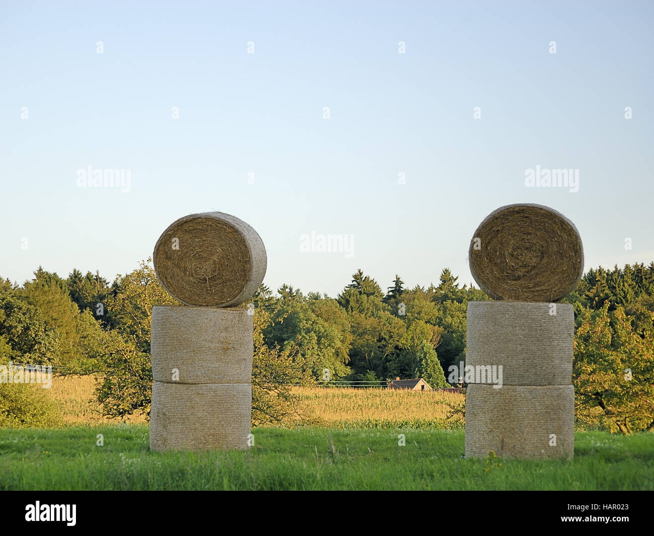 doppelt heu - double hay Stock Photo - Alamy