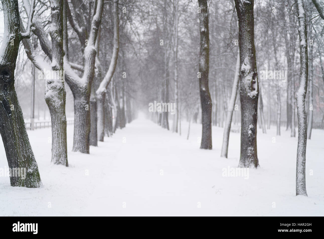 Alley snow hi-res stock photography and images - Alamy