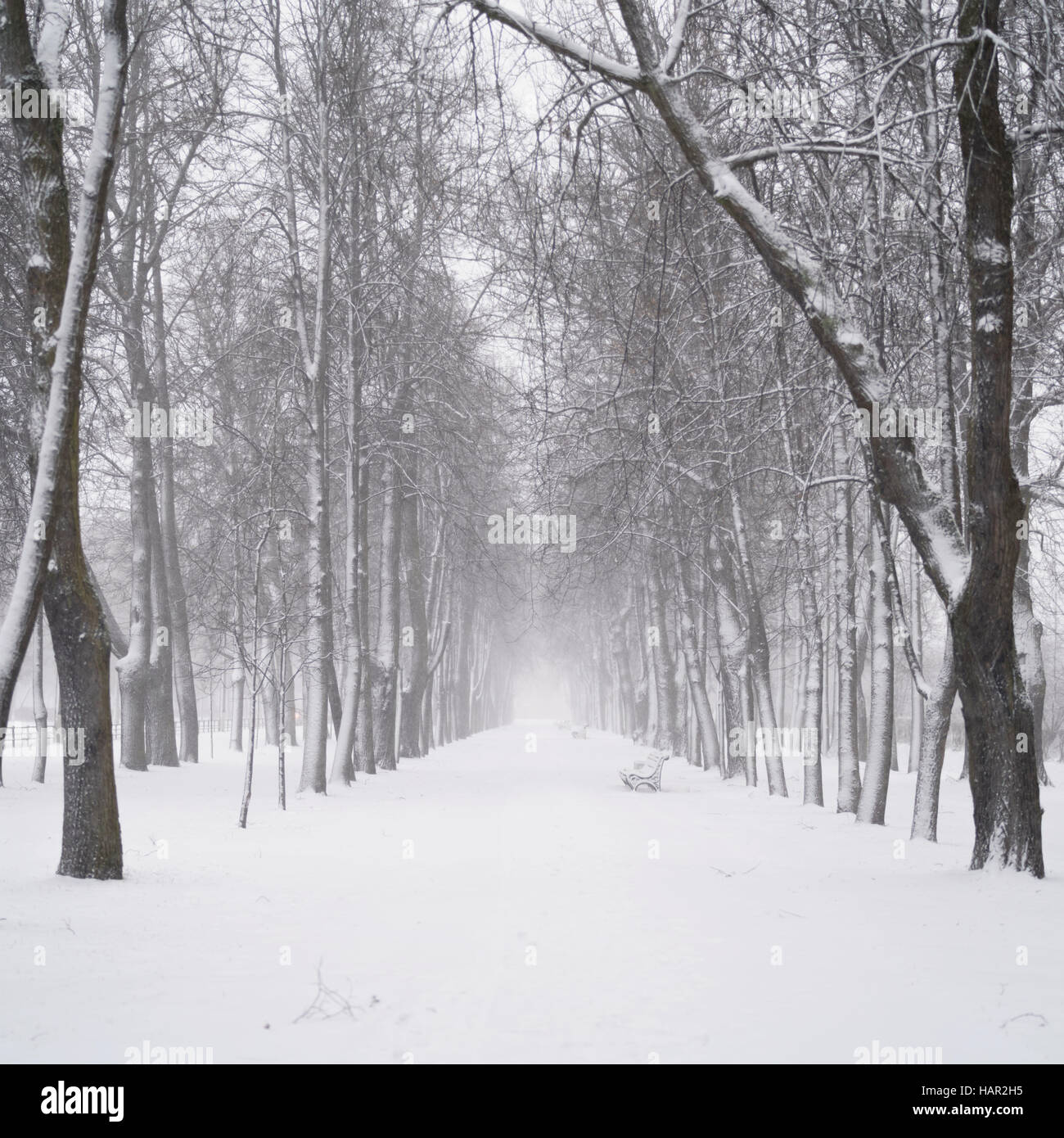 Beautiful snow falling in city hi-res stock photography and images - Alamy