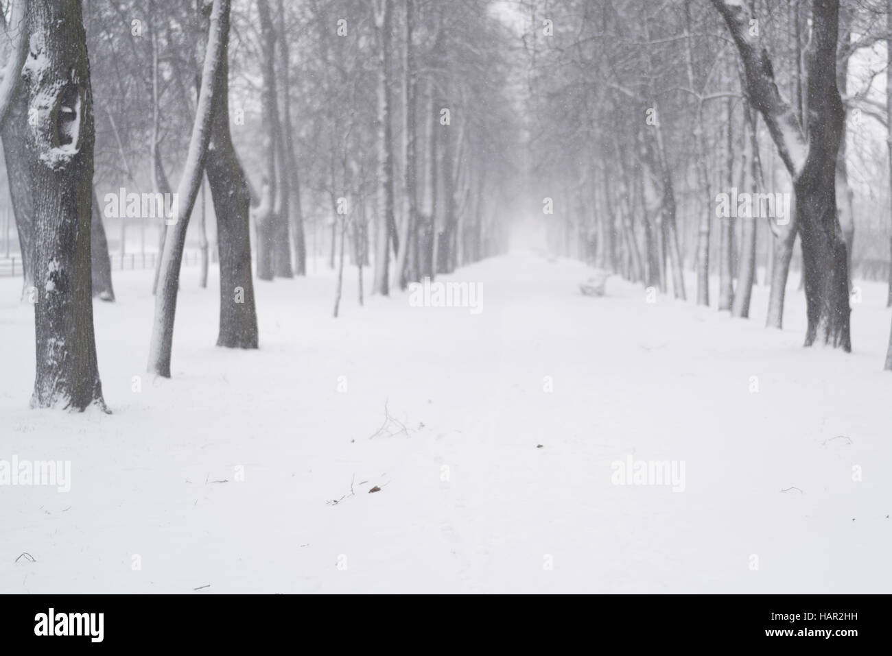 Beautiful snow falling in city hi-res stock photography and images - Alamy