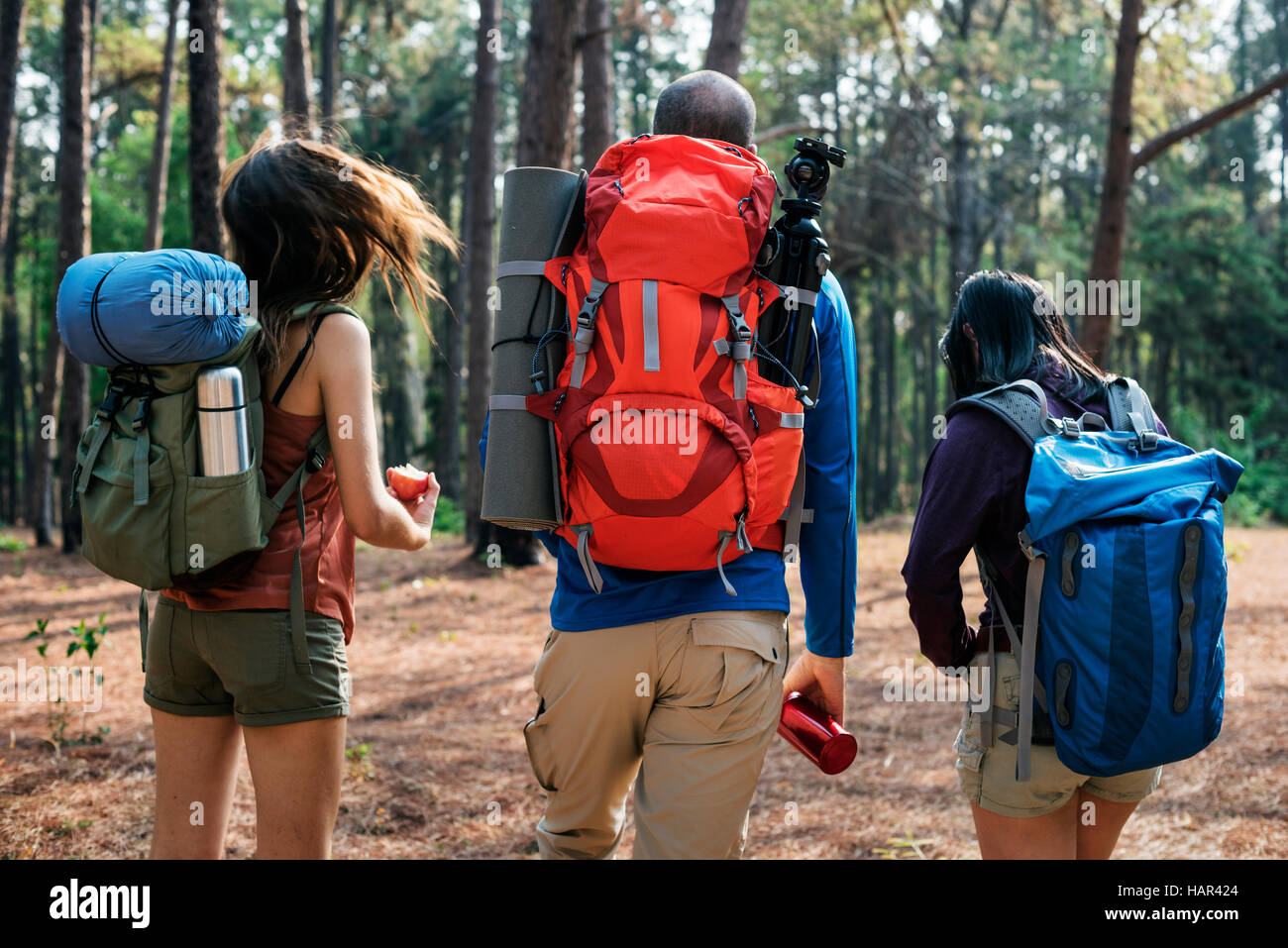 Friends Walking Exploring Outdoors Concept Stock Photo - Alamy