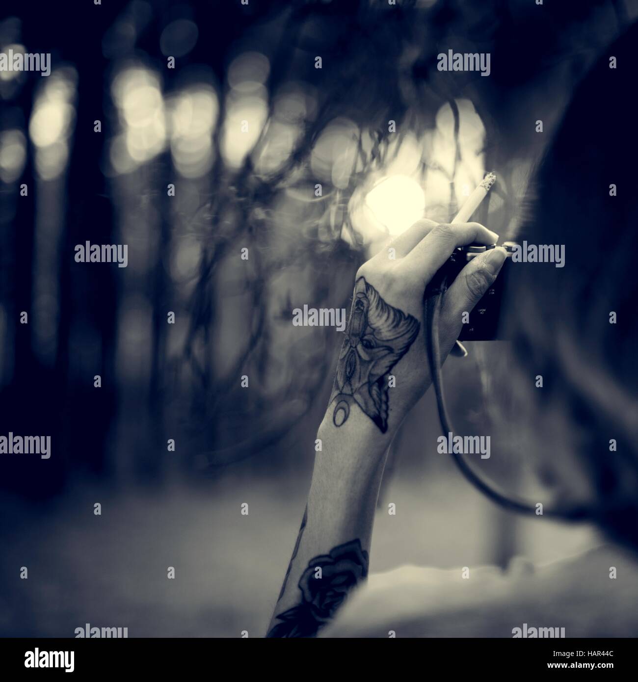 Photographer Camera Man Shooting Woods Nature Sunset Concept Stock ...