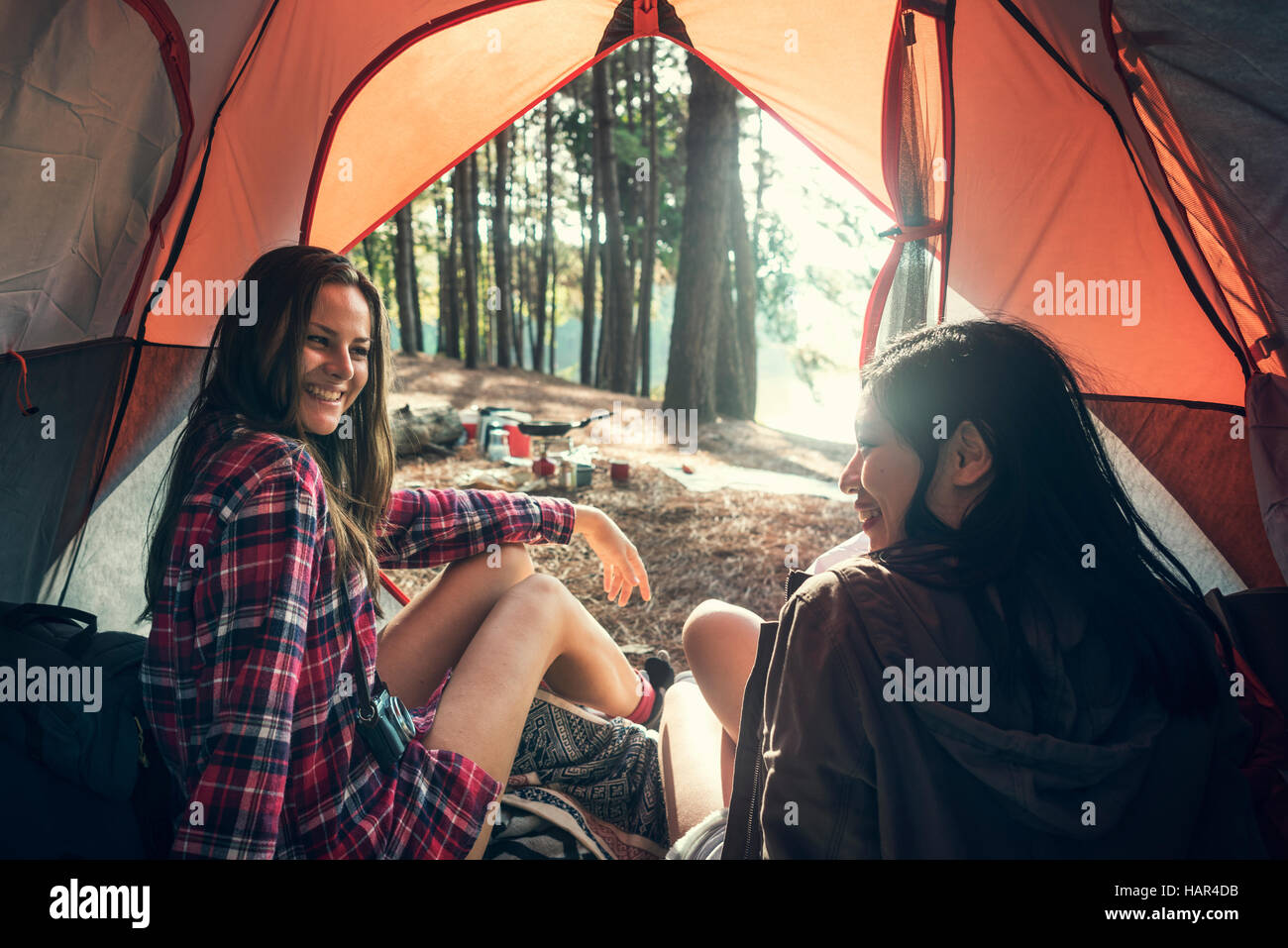 Friends Camping Tent Woods Outdoors Concept Stock Photo - Alamy