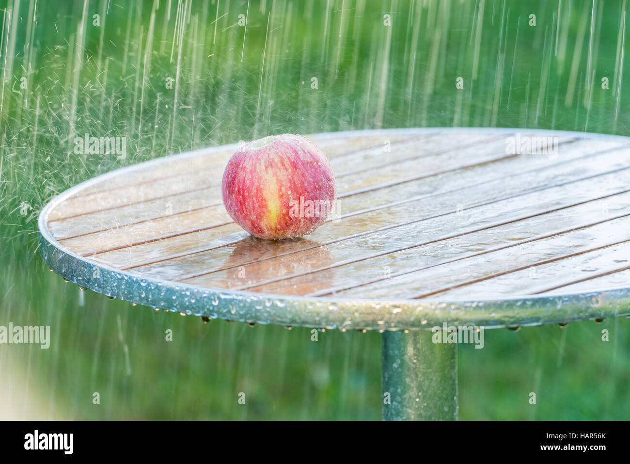 Summer rain and apple Stock Photo - Alamy