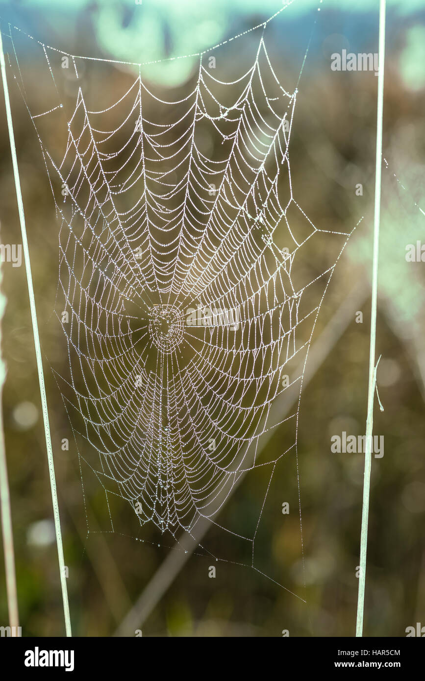 Fall field hi-res stock photography and images - Alamy