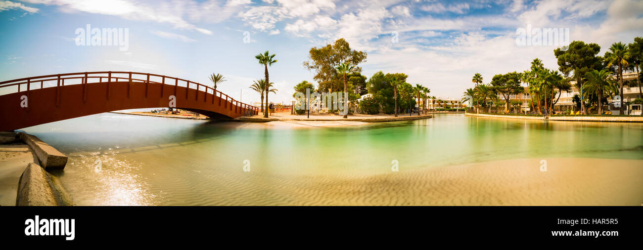 palm and bridge in tropical river Stock Photo - Alamy