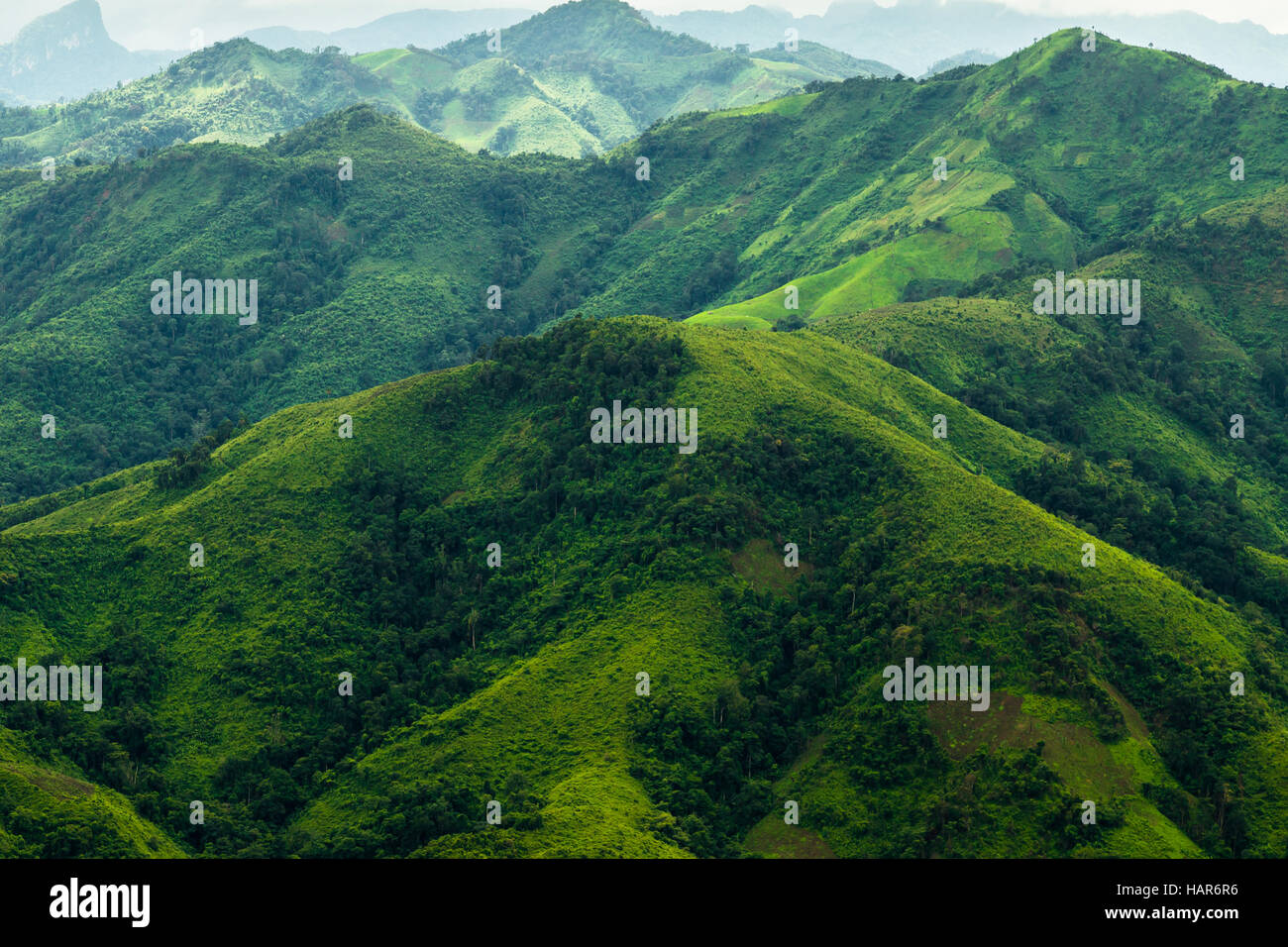 Landscape with green hill and mountains Stock Photo - Alamy