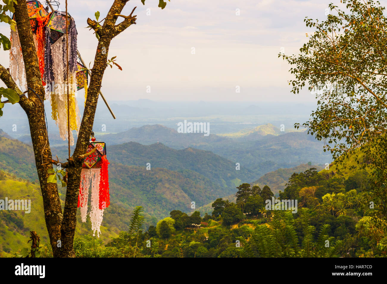 landscape of Sri lanka with trees, and flags Stock Photo - Alamy