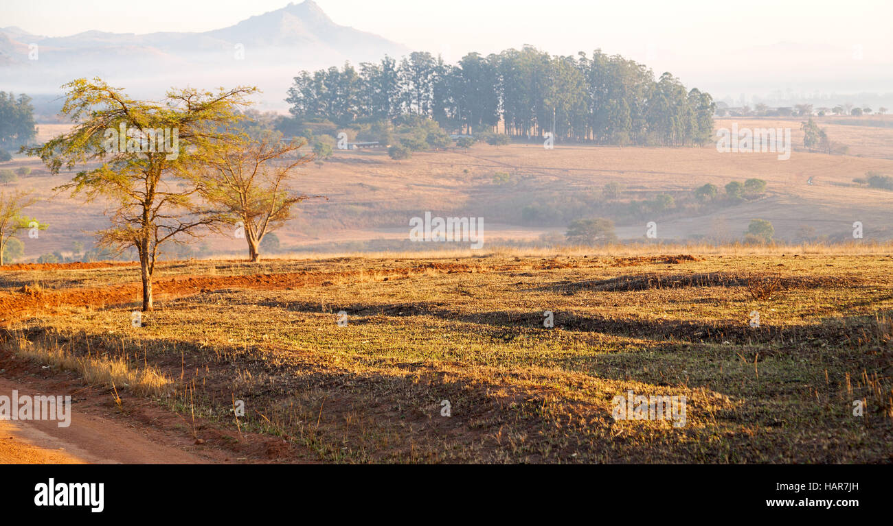 blur in swaziland mlilwane wildlife nature reserve mountain and tree ...
