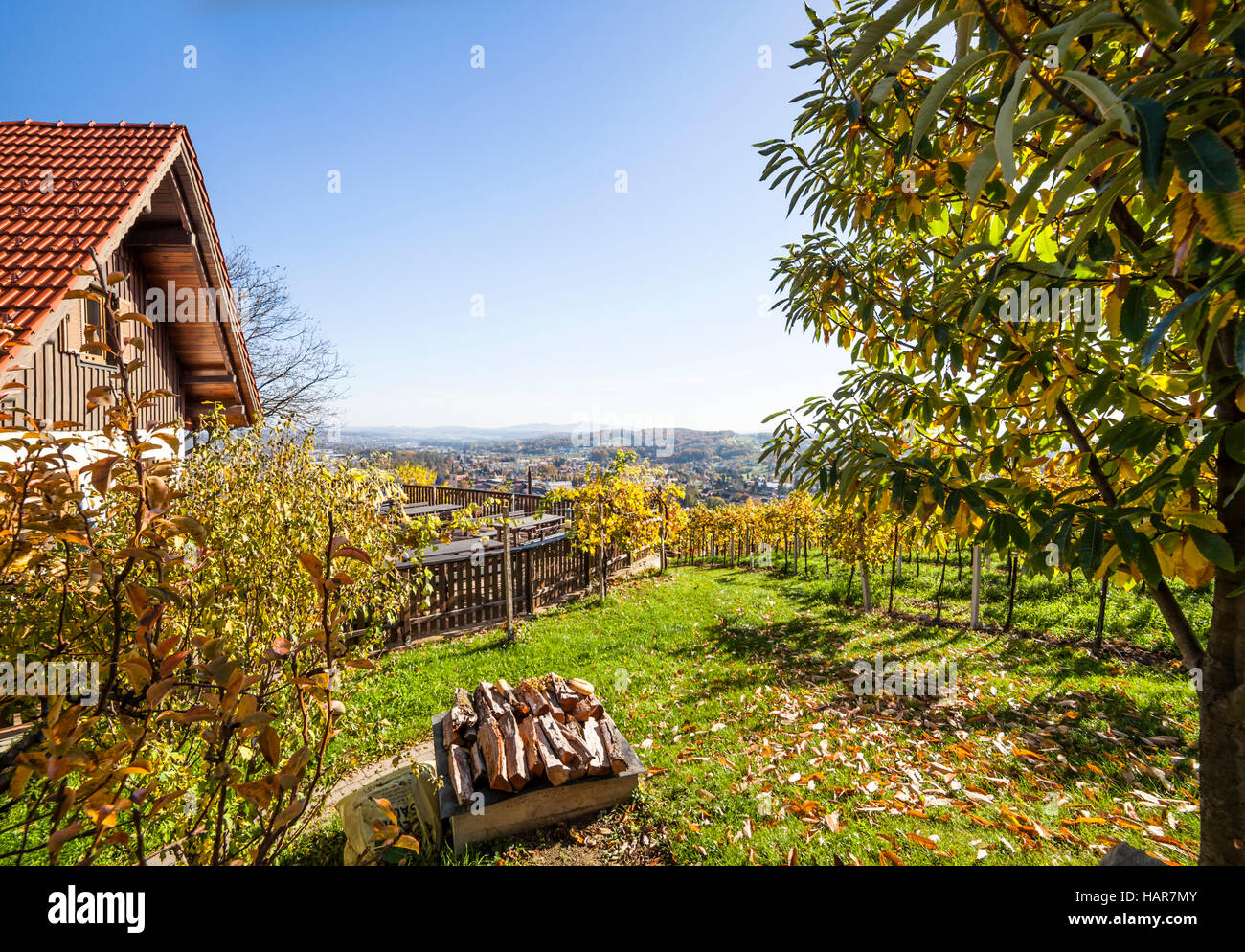 Vine terrace hi-res stock photography and images - Alamy
