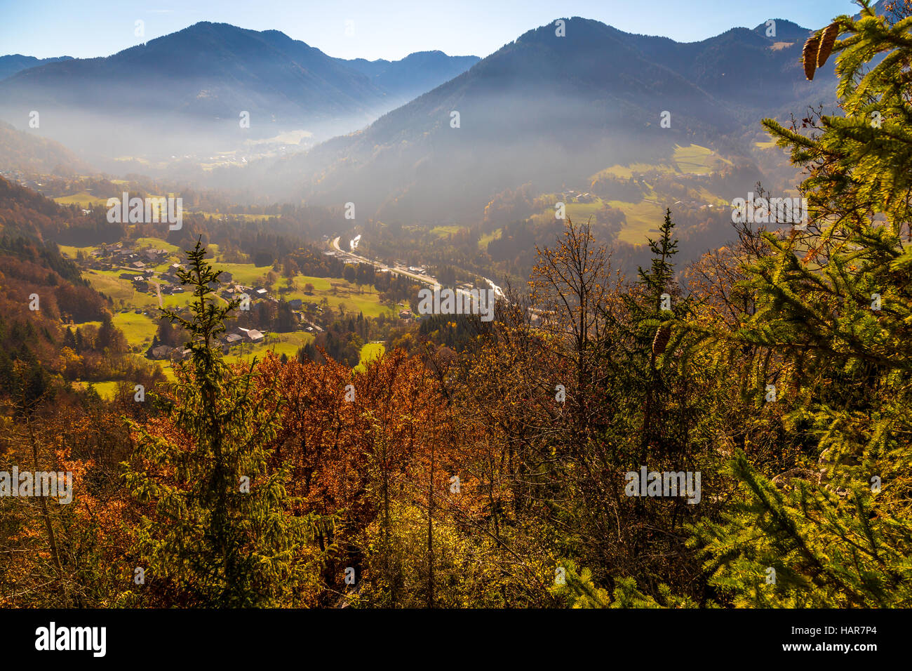 View above the trees in the Rhone Alps Stock Photo - Alamy