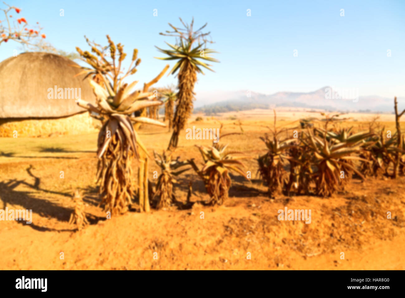 blur in swaziland mlilwane wildlife nature reserve mountain and tree ...