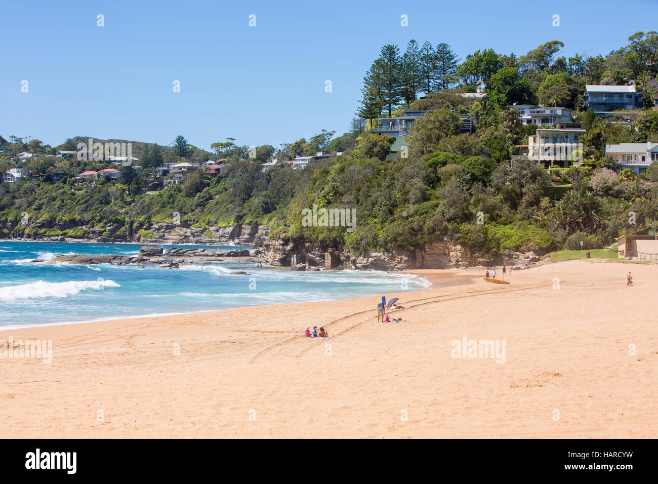 Whale Beach Sydney one of Sydney's famous northern beaches,new south ...