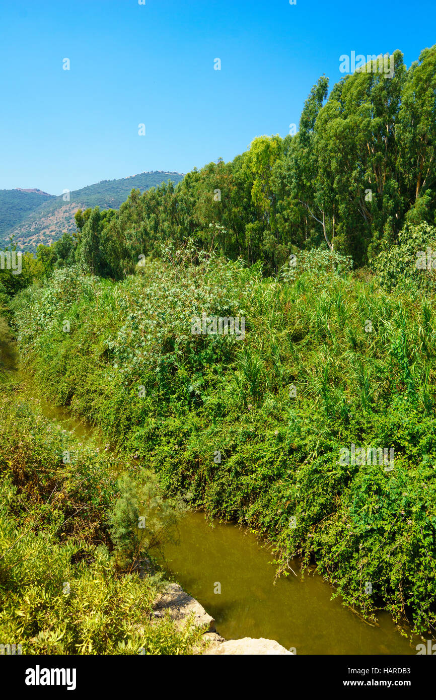 River kishon hi-res stock photography and images - Alamy