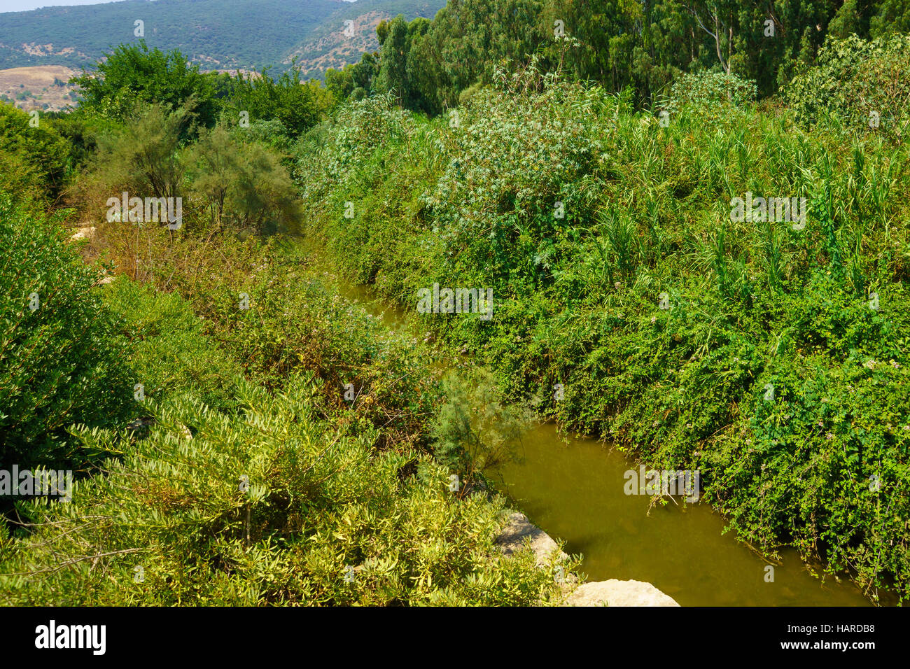The Kishon stream and park (HaAmakim park), in northern Israel Stock ...