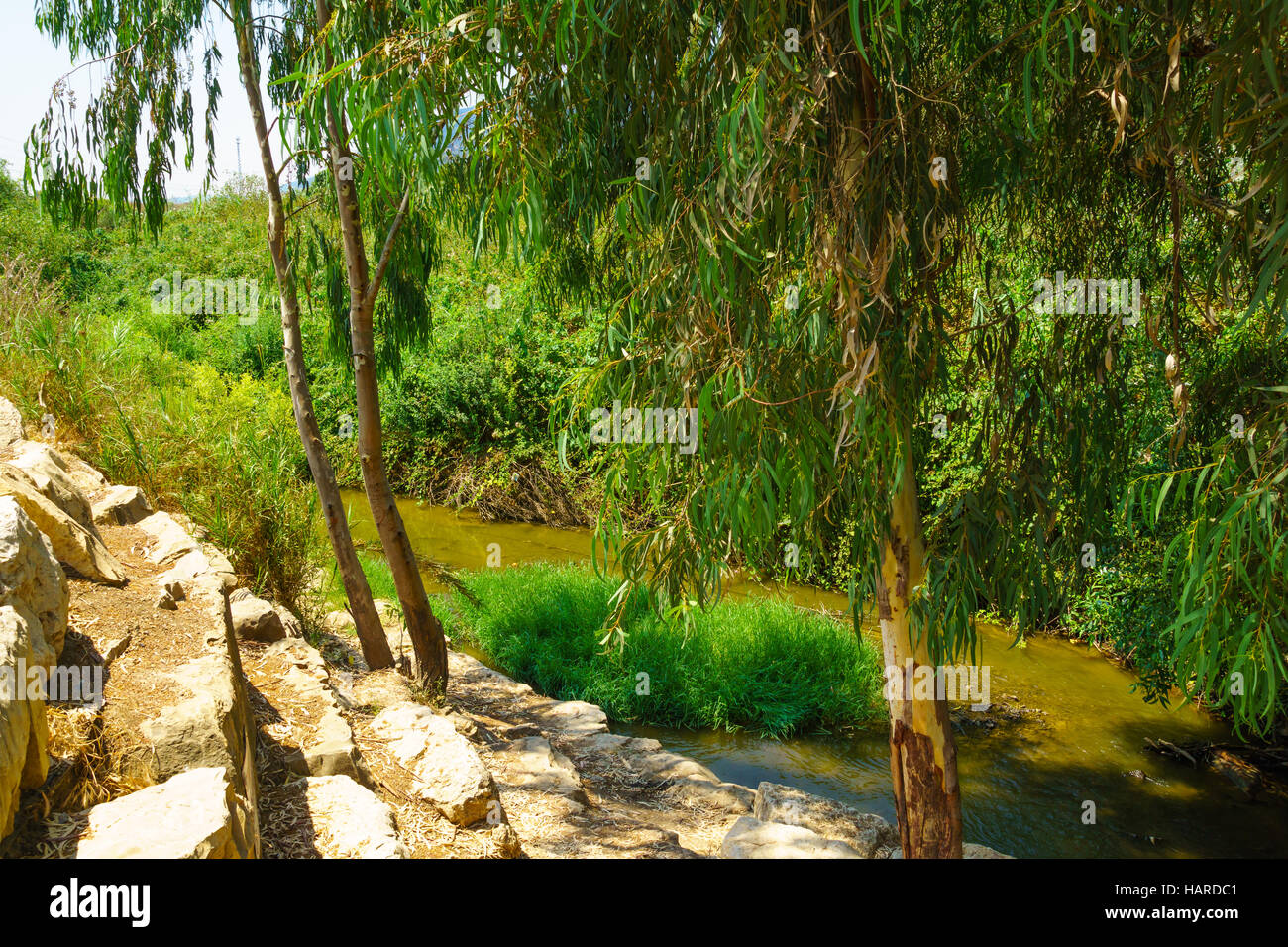 The Kishon stream and park (HaAmakim park), in northern Israel Stock ...
