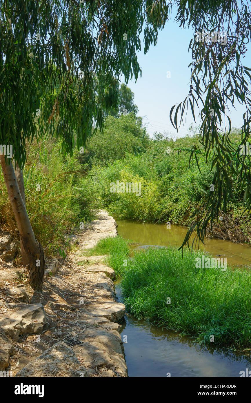 The Kishon stream and park (HaAmakim park), in northern Israel Stock ...