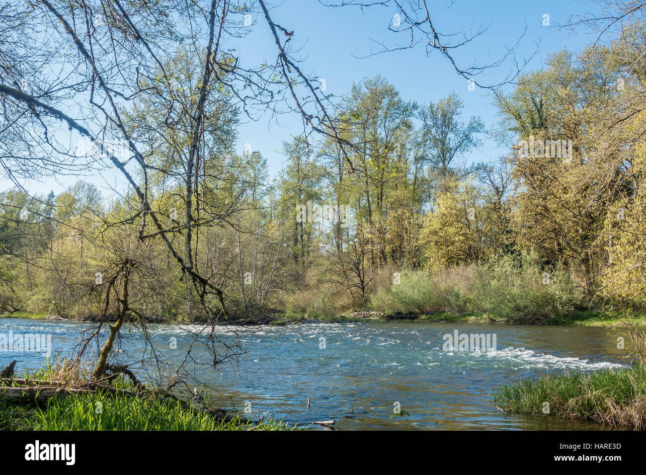 A view of the Green River at Flaming Geyser State Park in Washington ...