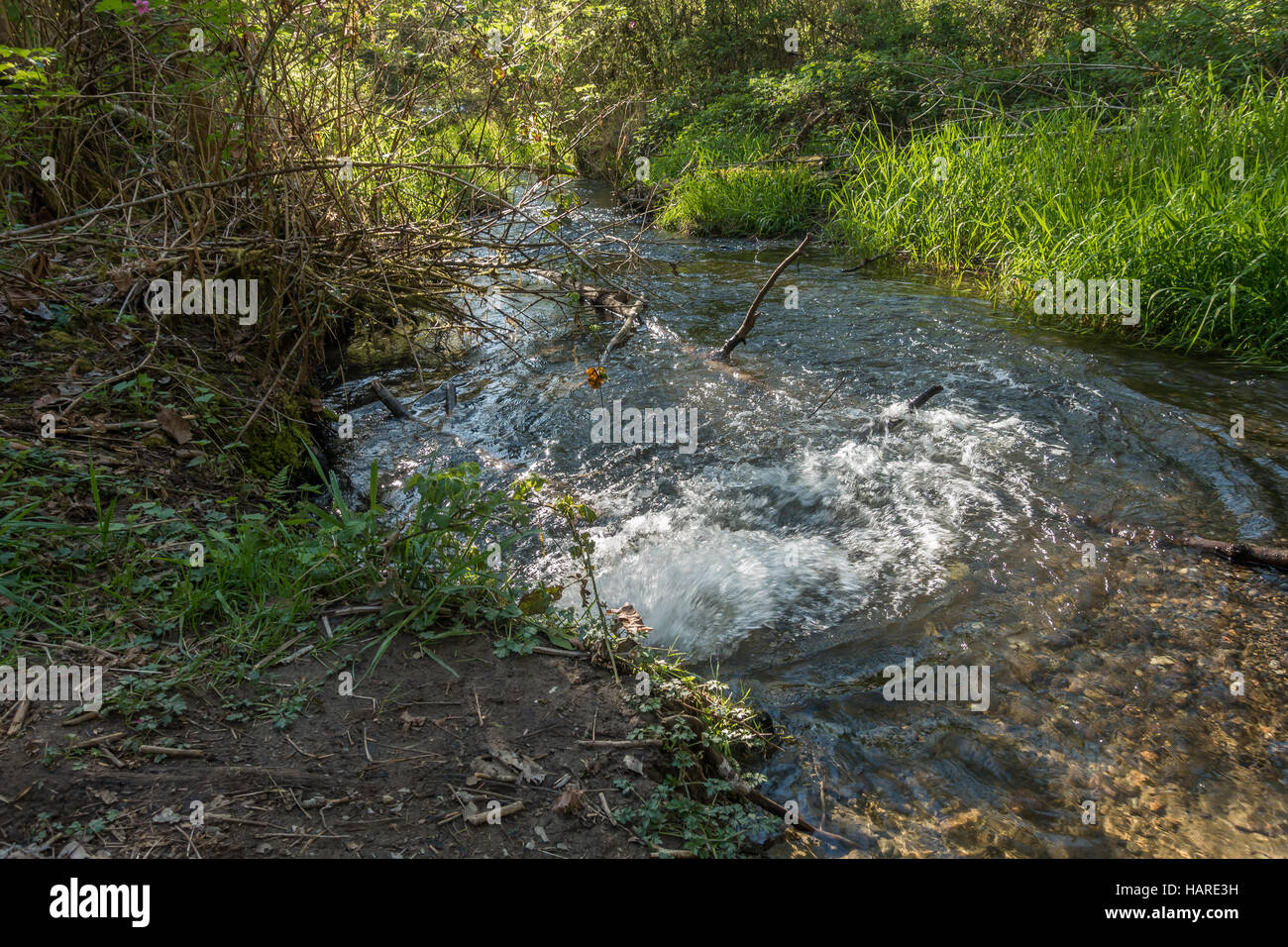 Flaming geyser state park hi-res stock photography and images - Alamy
