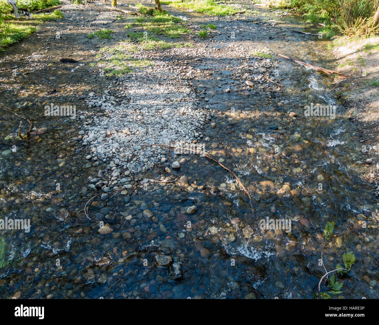 Pebbles in stream hi-res stock photography and images - Alamy