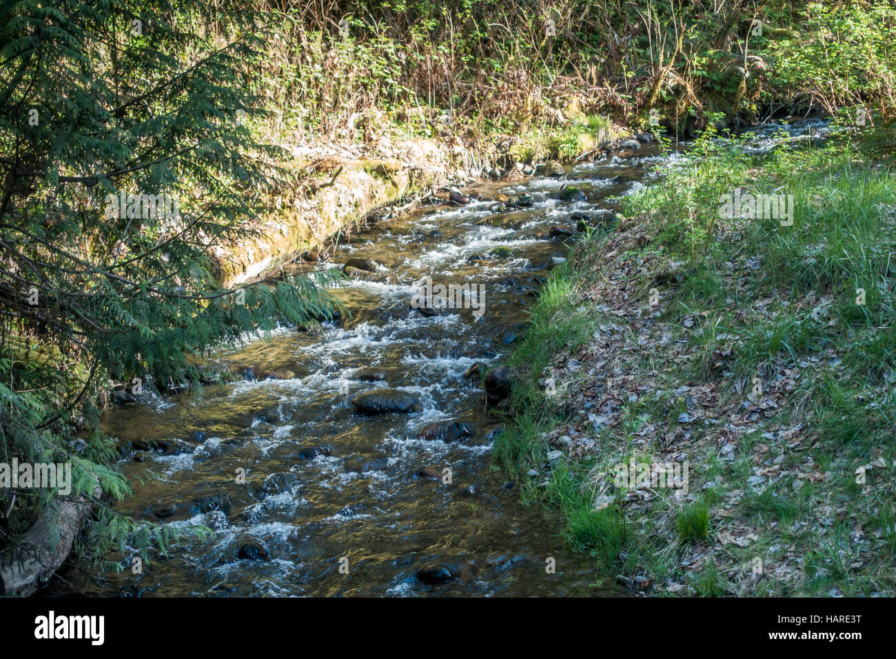 Pebbles in stream hi-res stock photography and images - Alamy
