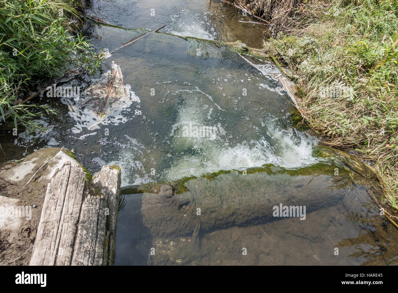 Stream fresh water hi-res stock photography and images - Alamy