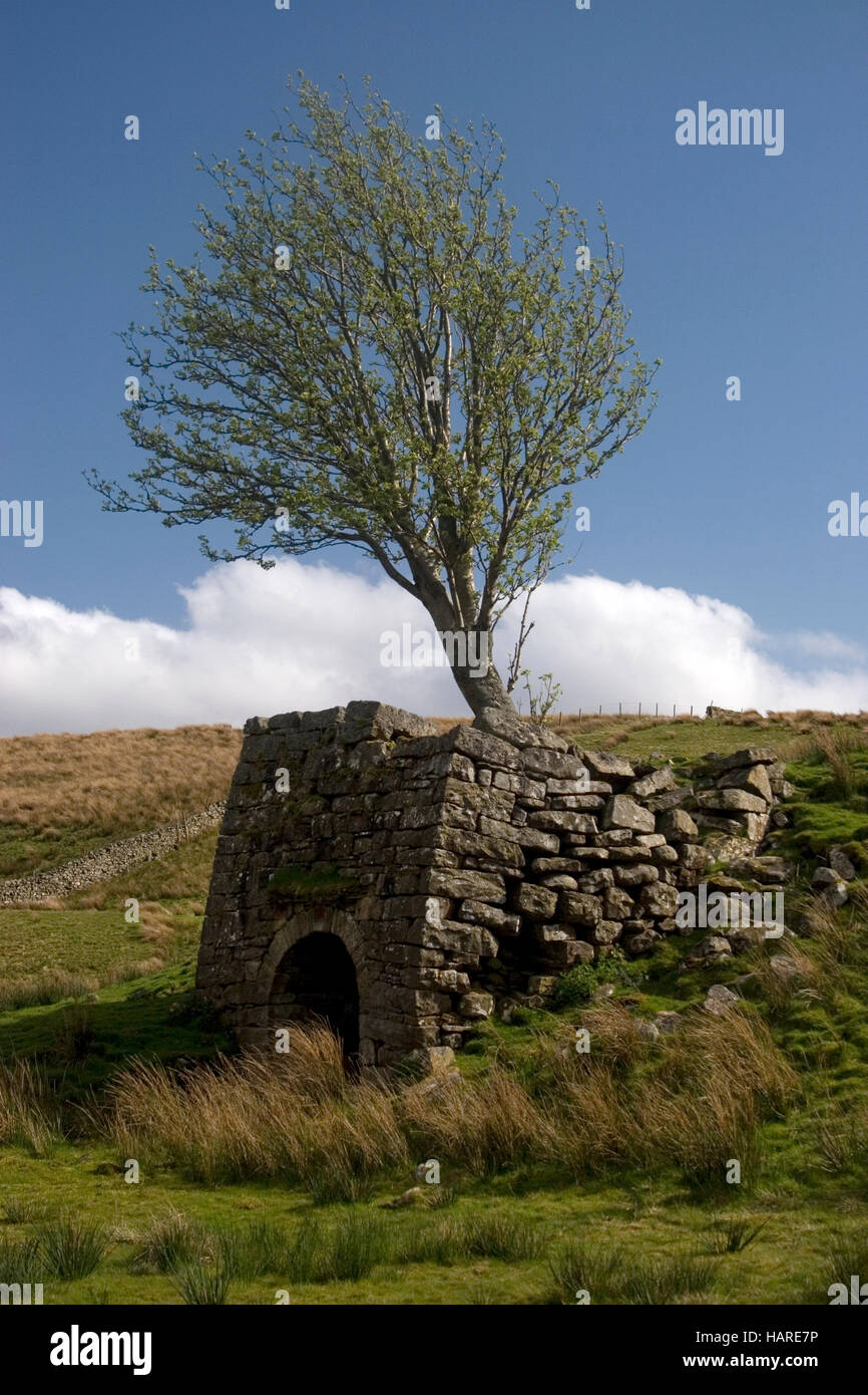 ruin of stone limestone kiln nr Keld on the road to Kirby Stephen ...